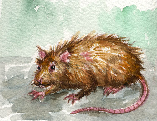 Felicia Cano's Blog: More Harry Potter Sketches