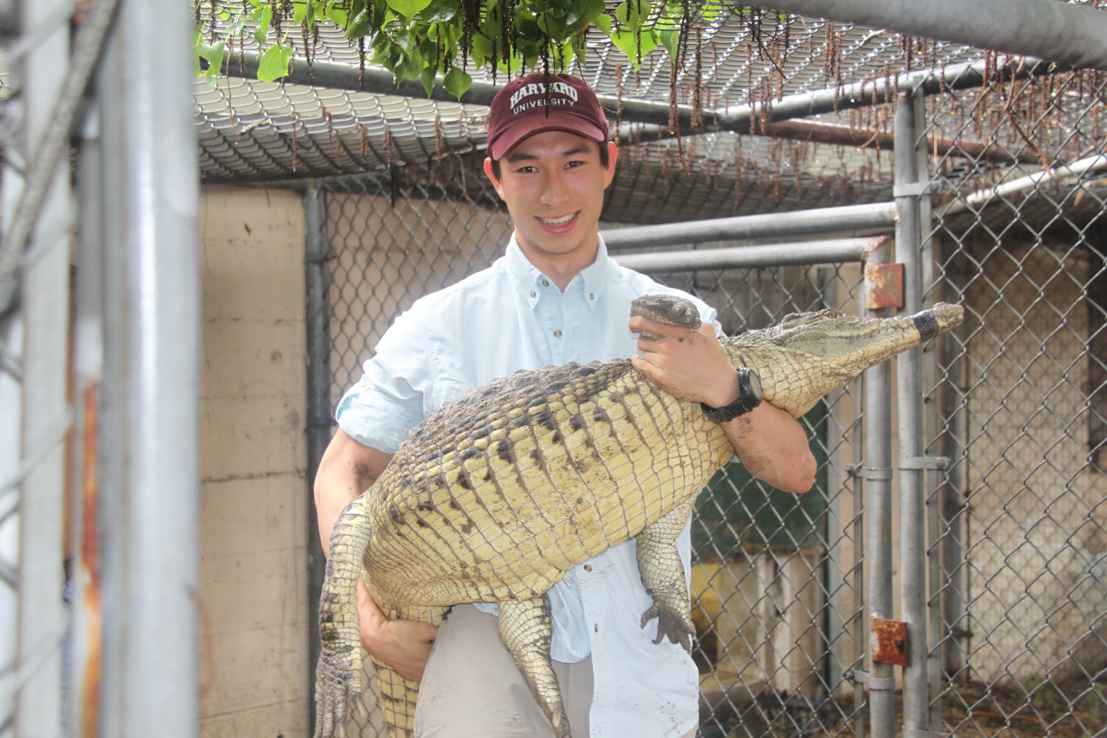 An American Naturalist: Croc Wrangling 101