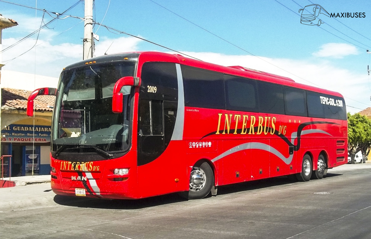 MAXIBUSES: INTERBUS DG