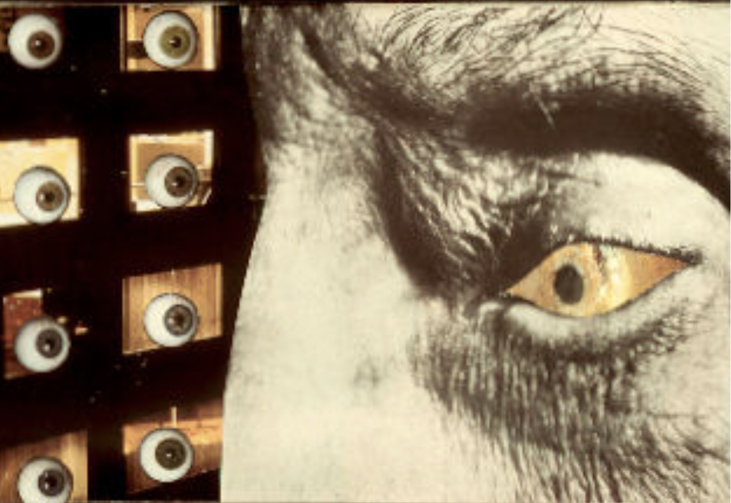 Judith Hoffman Blog: Collage and Bricolage by Aldywth