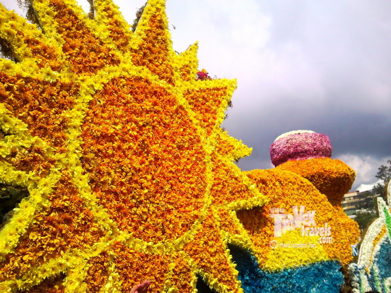 Baguio Flowers and Session in Bloom - Travex Travels - Travel. Explore ...