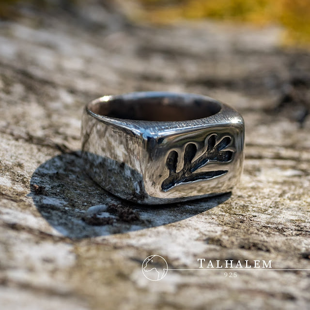 Propnomicon: Elder Sign Signet