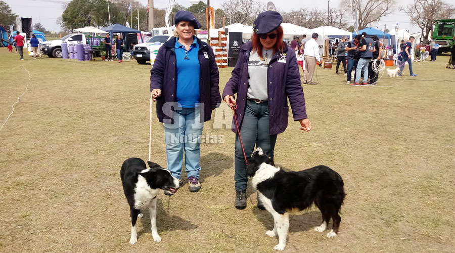 "PERROS ARRIEROS" UNA DE LAS NOVEDADES DE LA 32° EXPOSICIÓN RURAL DE ...