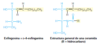 Bioquimica: junio 2016