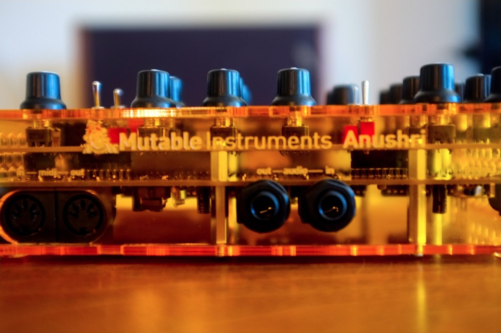 MATRIXSYNTH: Mutable Instruments Anushri Synthesizer