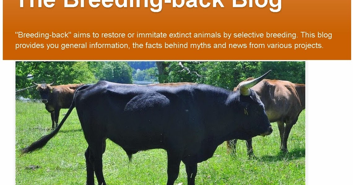 Weert en natuur: Krijgt het Tauros-project concurrentie??