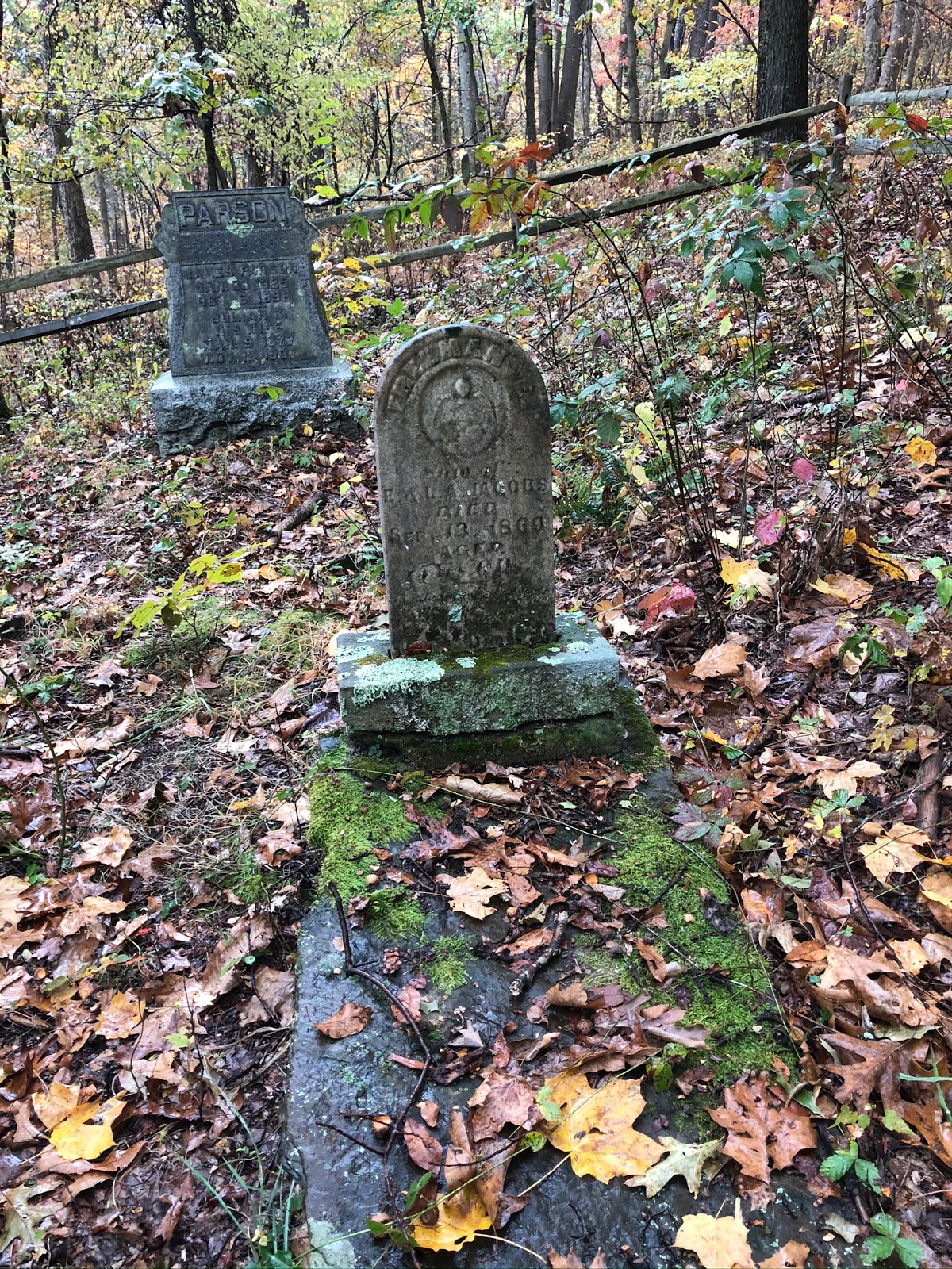 Snow and Jaggers: Chess Cemetery Discovery