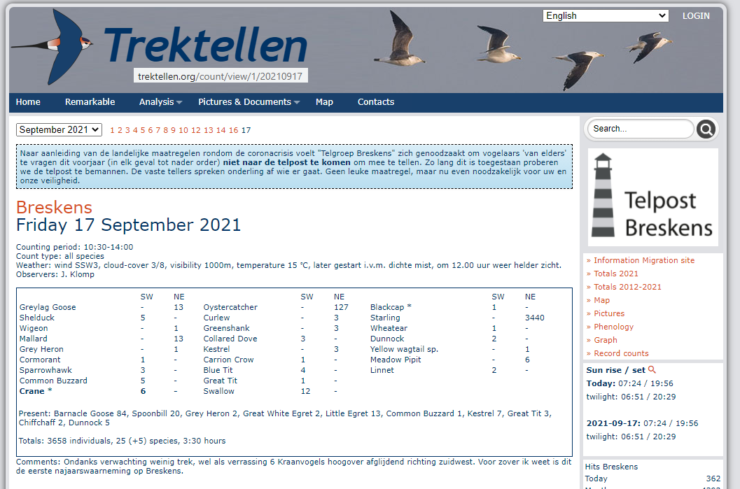 Birding the southern Medway: How to bird the Medway