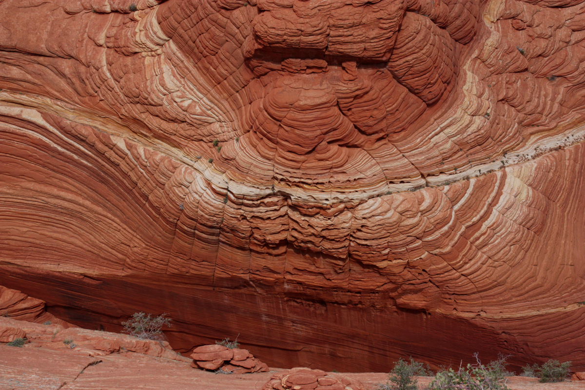OutinDeWoods: The Wave, Arizona