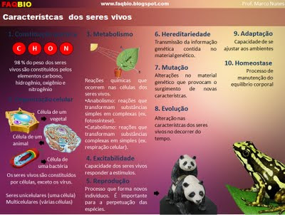 FAQBIO - Apoio ao Estudo de Biologia: Ficha Resumo Faqbio #76 – Características dos seres vivos