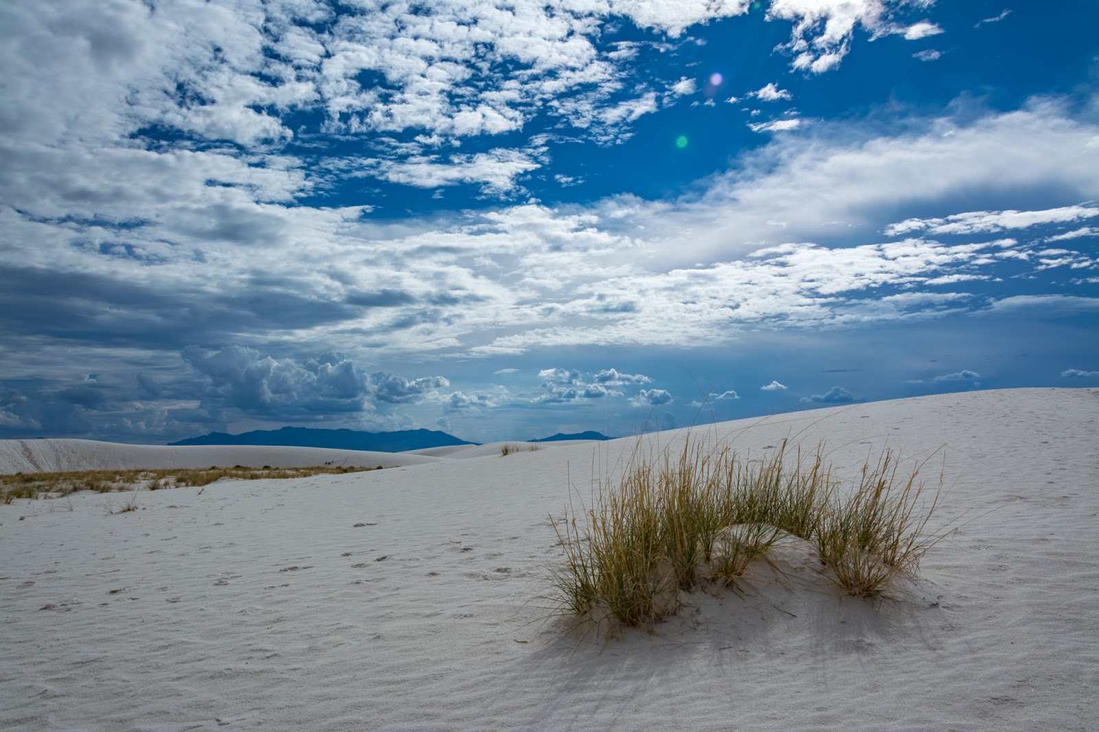 A Tree Falling: White Sands National Monument, July 2018: Afternoon