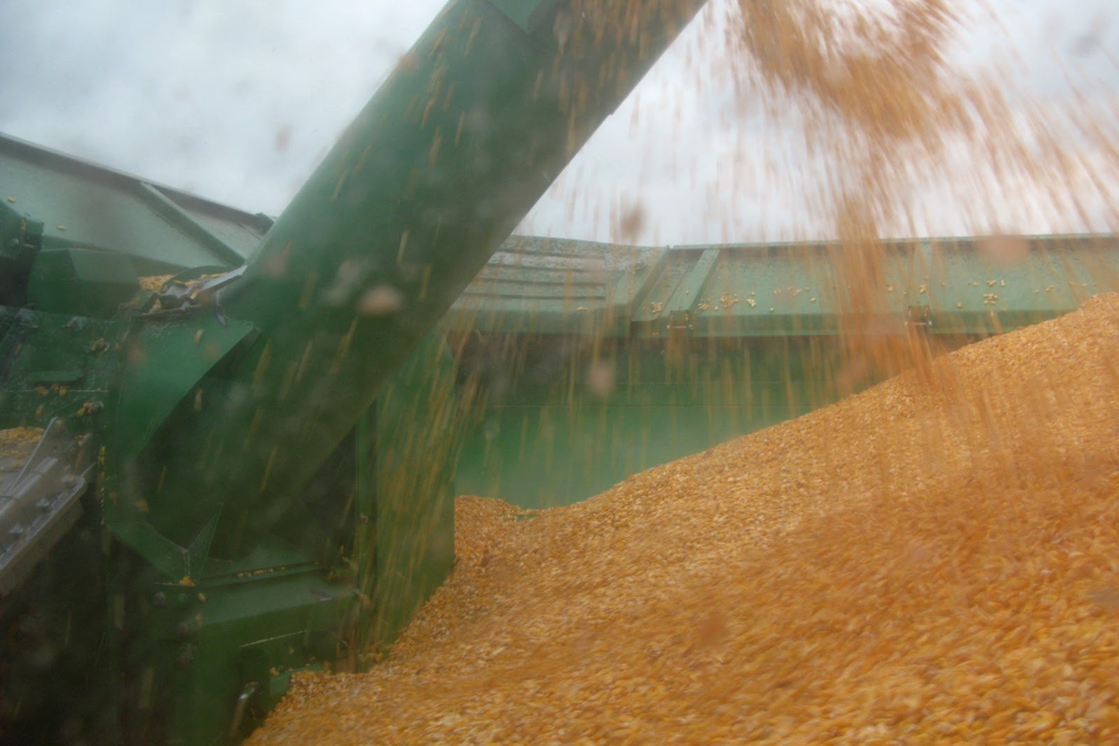 Just*Grand: Harvest in the Heartland