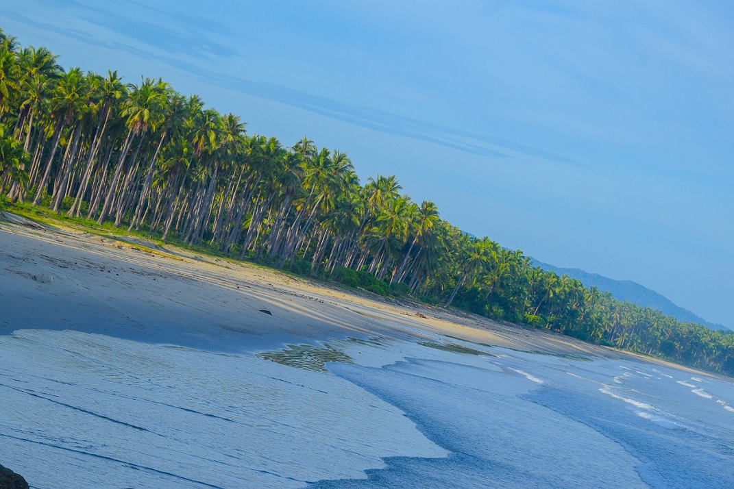 Girl Travel Factor: 2019