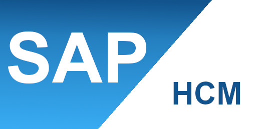 Technical And Professional Training: Why You Should Join An SAP HCM ...