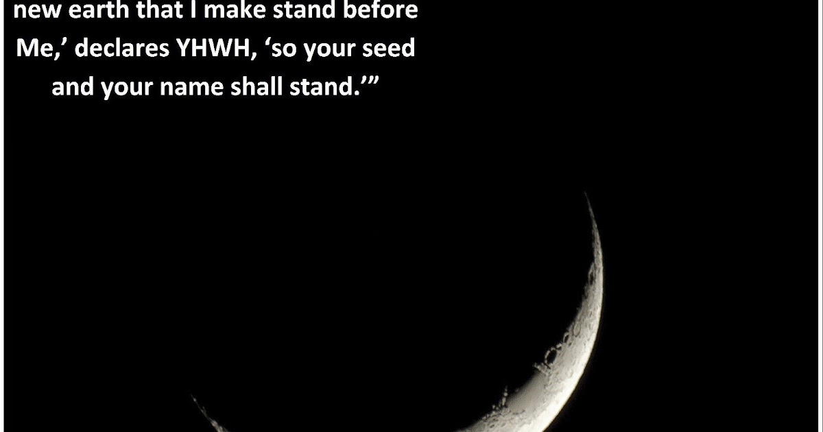 Ger V'Toshav A Stranger and Sojourner: Shabbat Shalom v'Rosh Chodesh ...