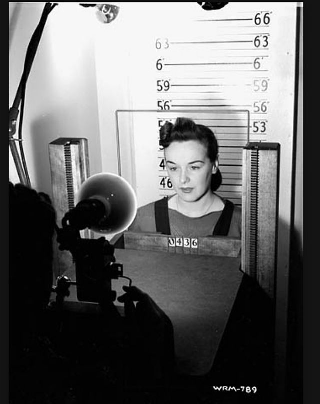 Pictures of Veronica Foster – Ronnie the Bren Gun Girl and the ...