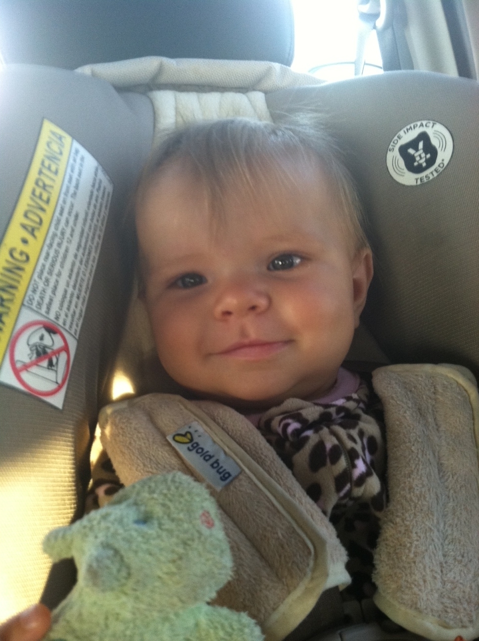 The Sieve's - Jason, Holly, Presley, Madison & Monroe's Family Blog ...