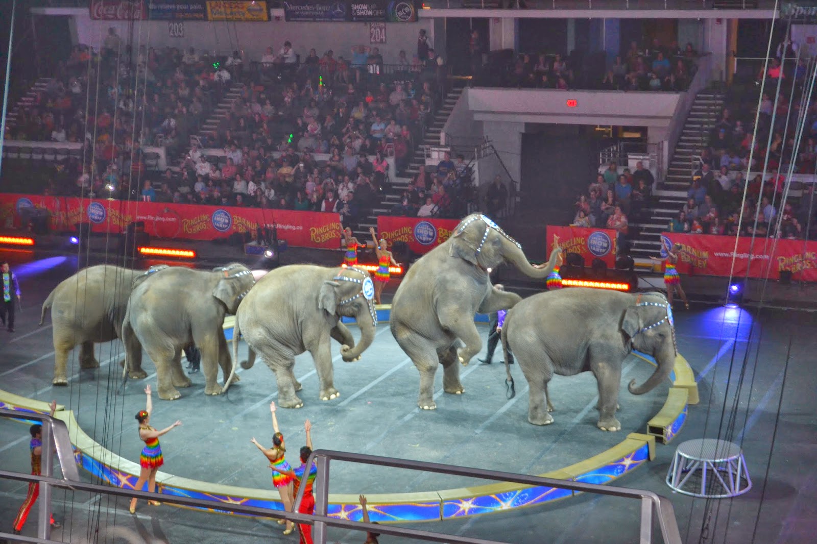 Ringling Bros. and Barnum & Bailey: Legends (Event Report) - BioGamer Girl