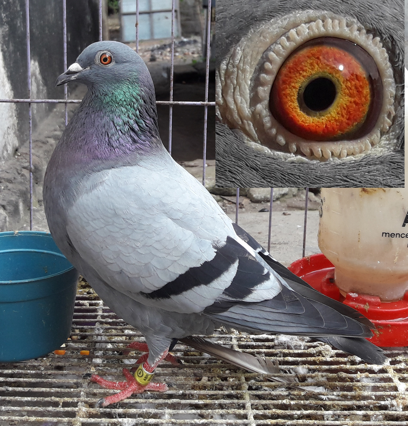 Galeri Merpati Pos Milimeter Loft - Milimeter Loft - Merpati Pos Indonesia