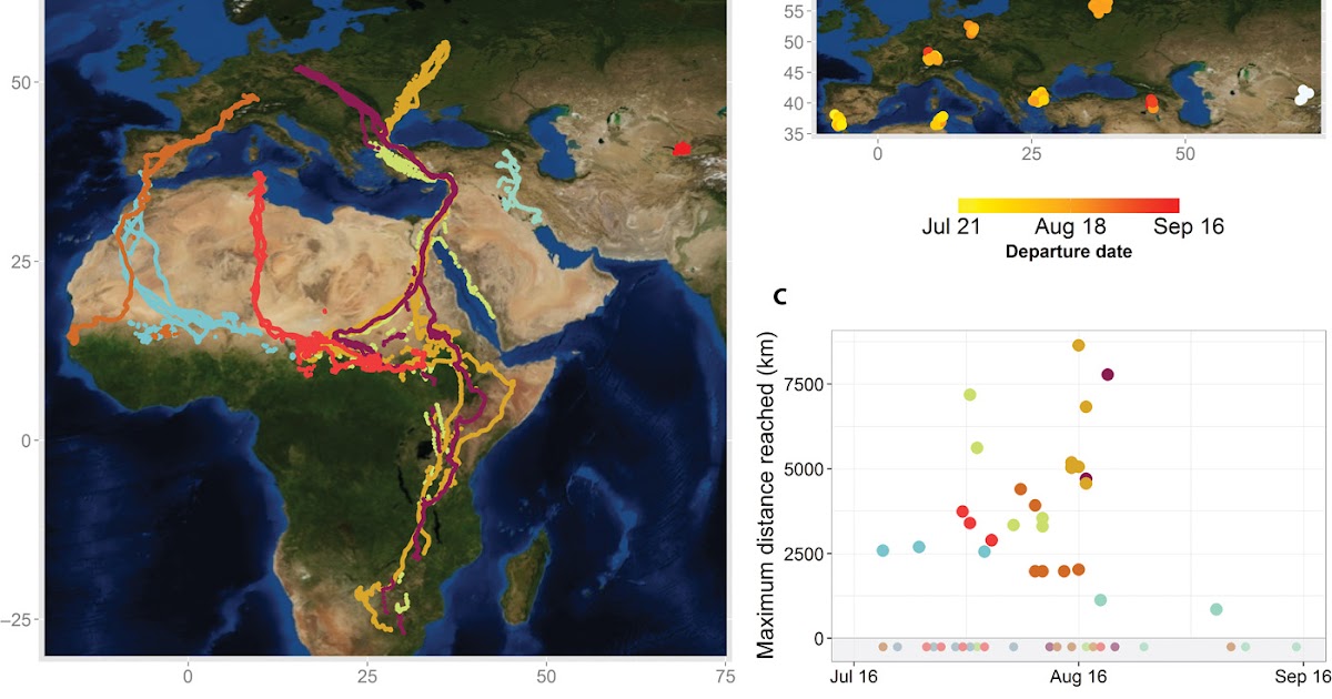 Human Habitats Are Affecting Animal Migration Patterns | Data in the News