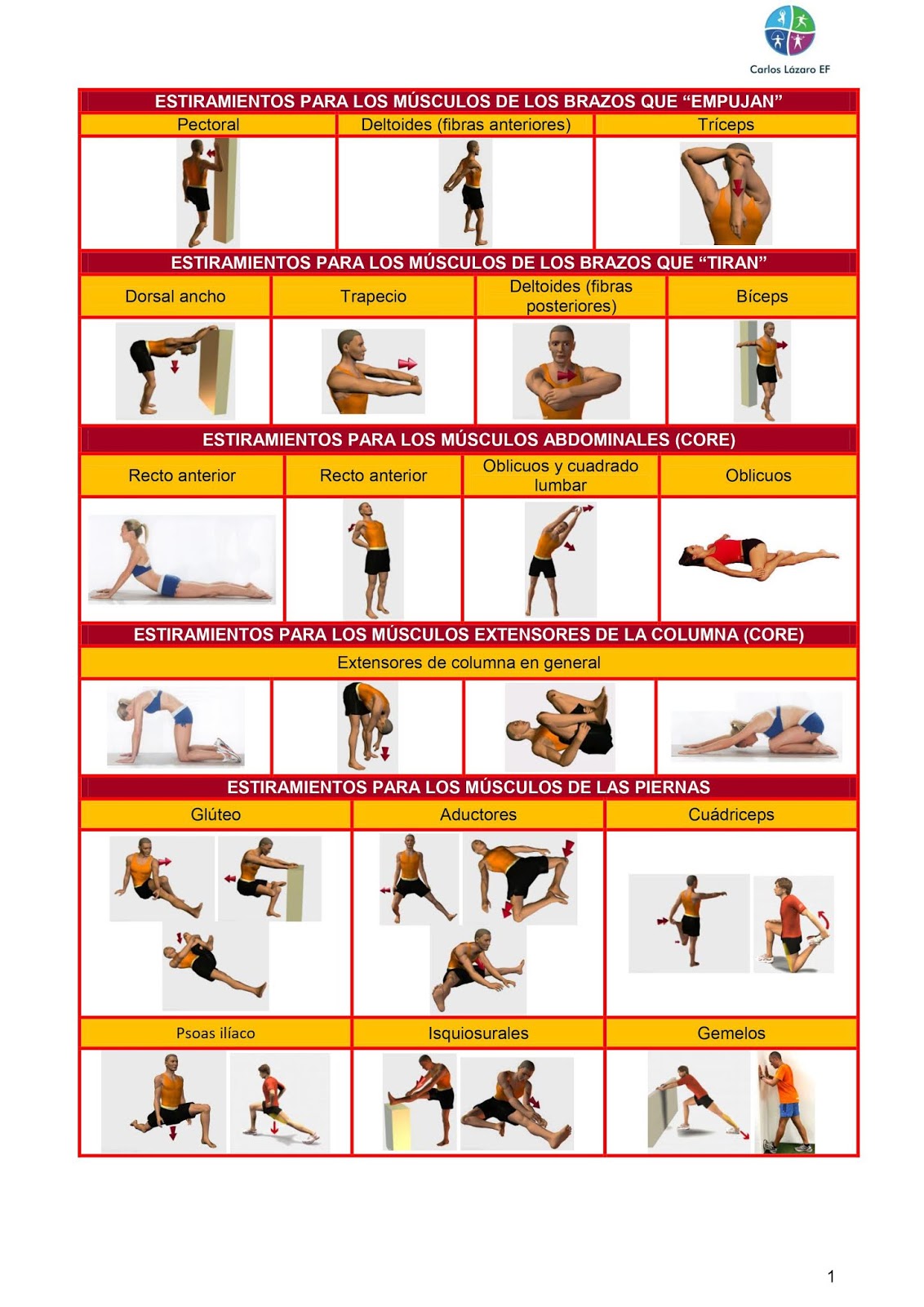 Actividad física, deporte y salud.: Vuelta a la calma