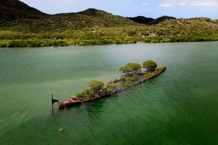 100-Year-Old Shipwreck Reclaimed By Nature