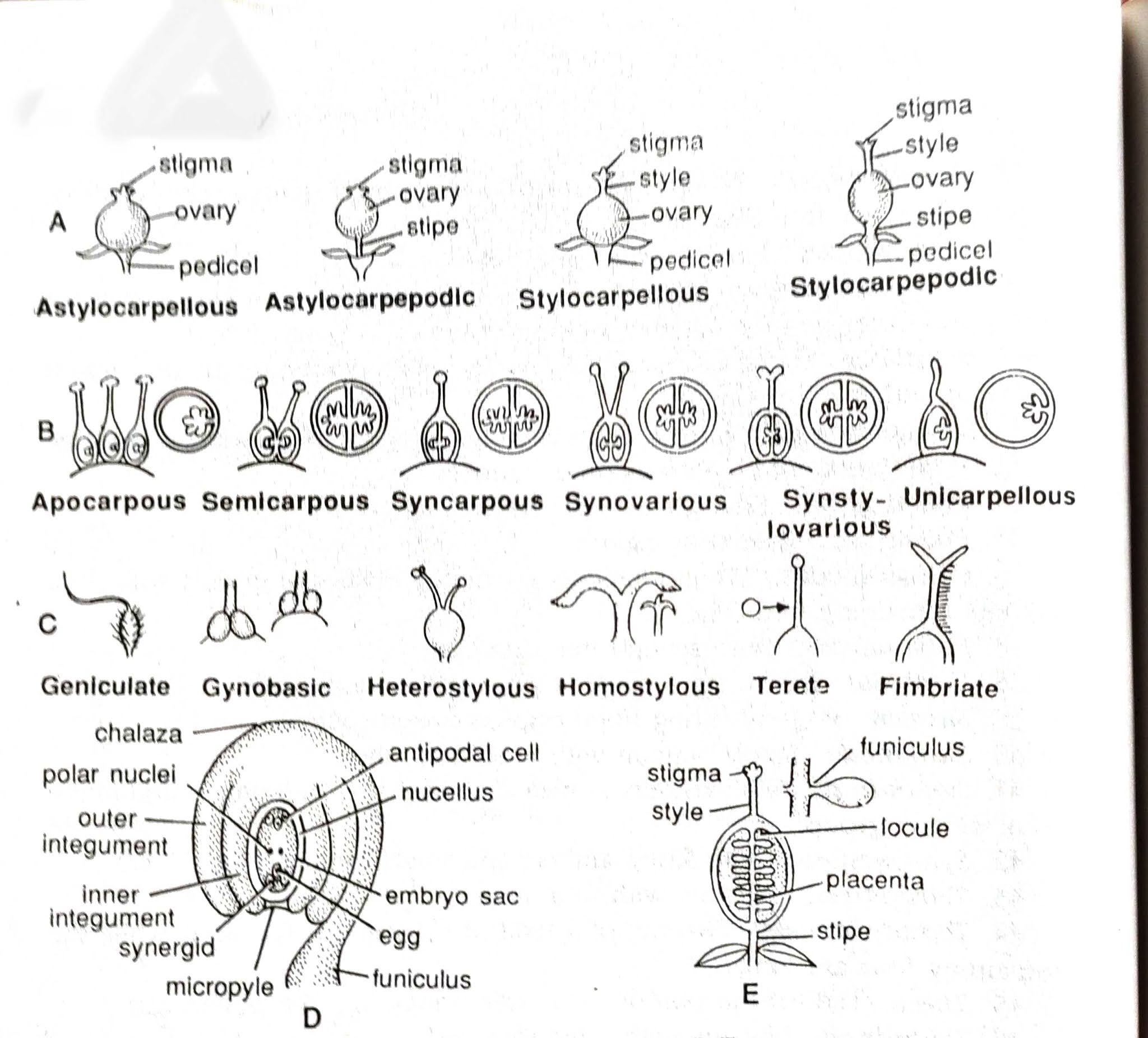 Stigma types (Practical)