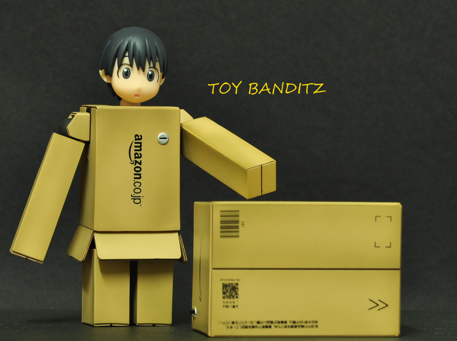 toy banditz: DANBOARD AMAZON VERSION