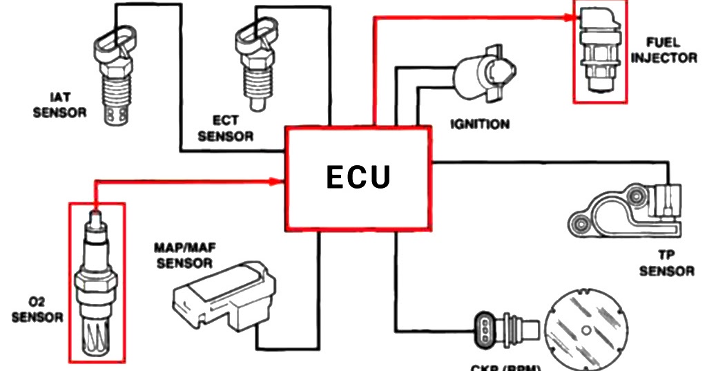 Apa Yang Dimaksud Open Loop Dan Close Loop Di Sistem EFI