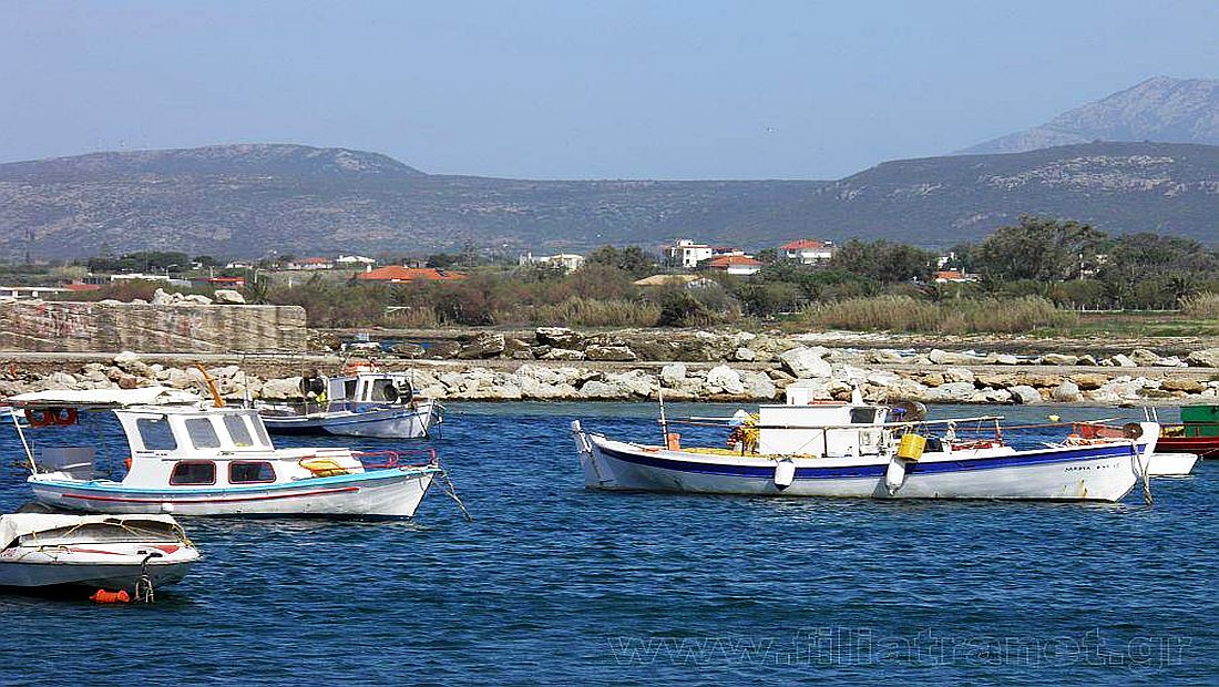 NEWS MESSINIA - ΜΕΣΣΗΝΙΑΚΑ ΝΕΑ και ΕΙΔΗΣΕΙΣ: ΝΙΚΟΣ ΚΑΛΟΓΕΡΟΠΟΥΛΟΣ: ΕΔΩ ...