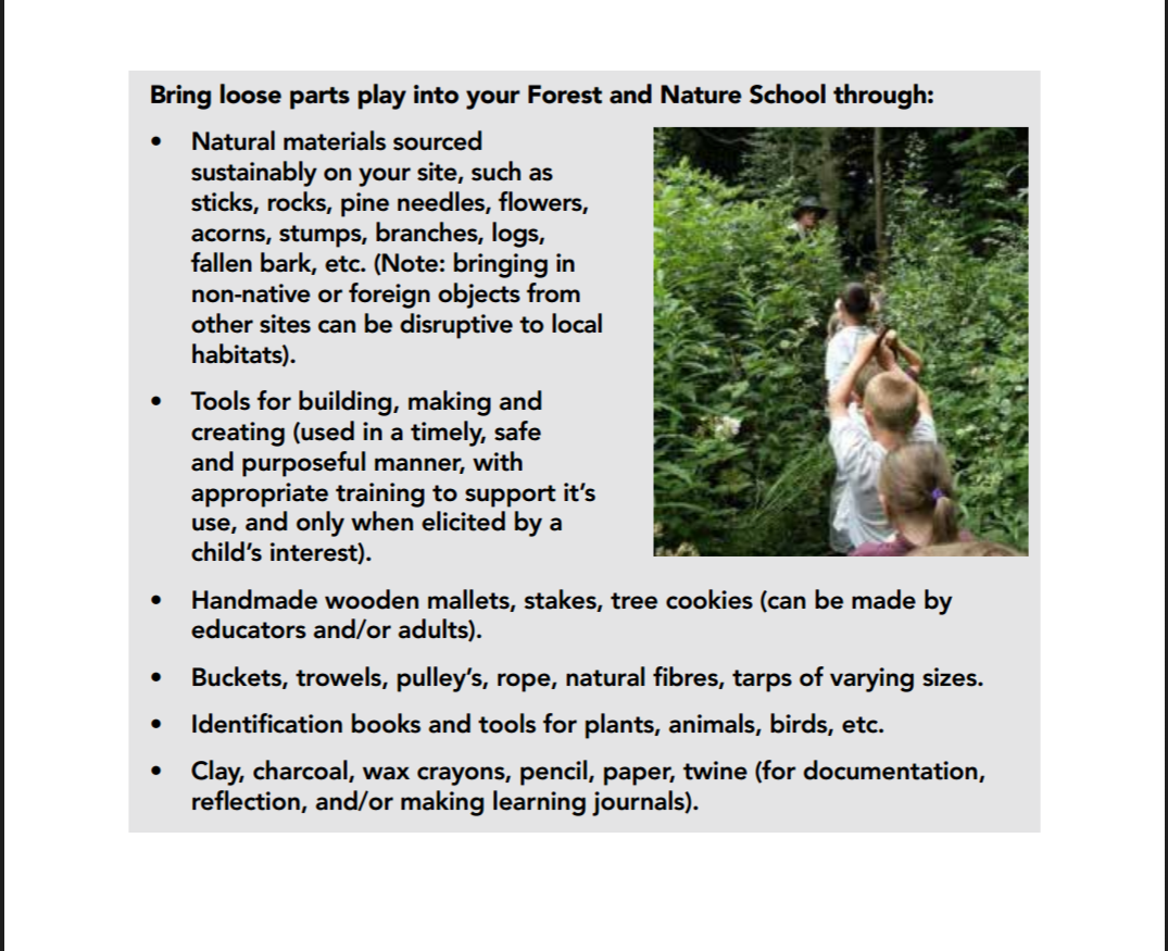 Connecting Children To Nature: Forest School Activities