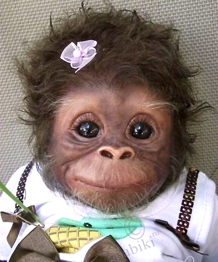 Sanando el Alma: 2016, un Año muy Mono…