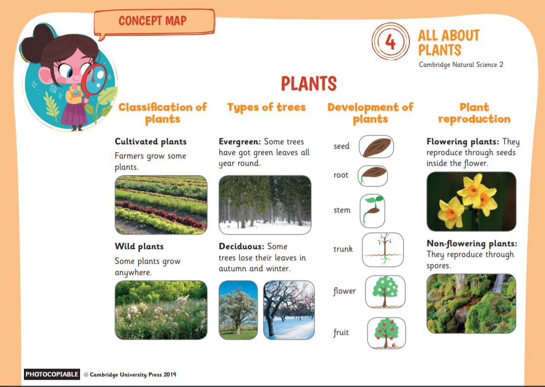 17th February. NATURAL. Unit 4. ALL ABOUT PLANTS. Concept Map. VIDEOS ...