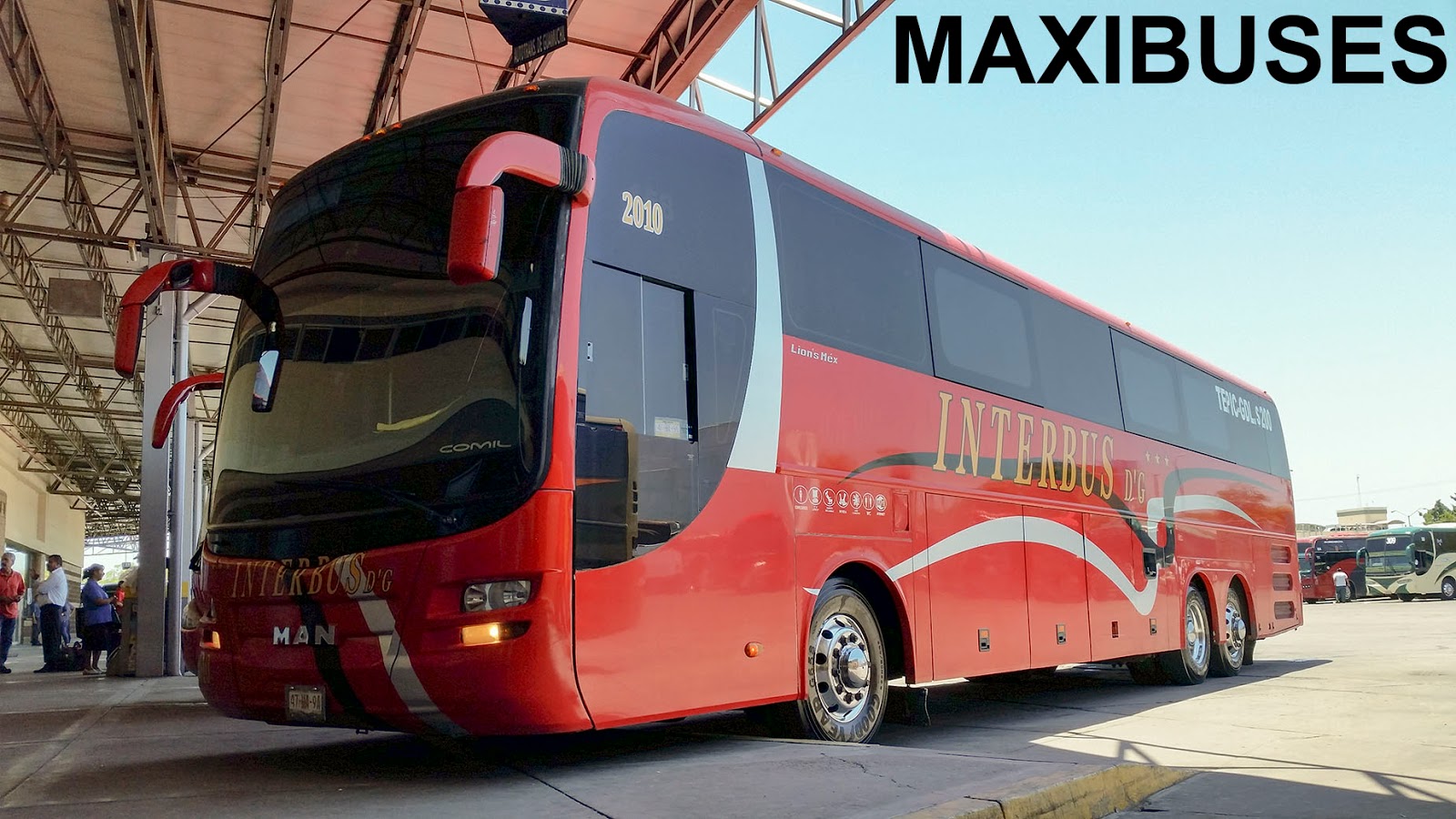 MAXIBUSES: AUTOTRANSPORTES D´GUAMUCHIL - INTERBUS D´G