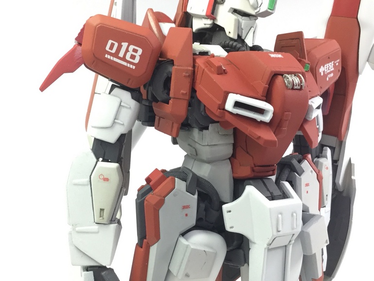 Custom Build: MG 1/100 Zeta Plus A1