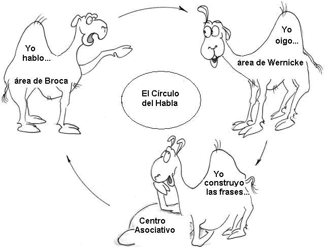 Lenguaje y Comunicación : Ramas de la lingüística - Fonemas