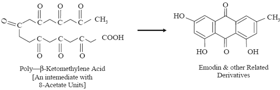 Biosynthesis of Anthracene Glycosides ~ Pharmacognosy | Plants | Herbal ...