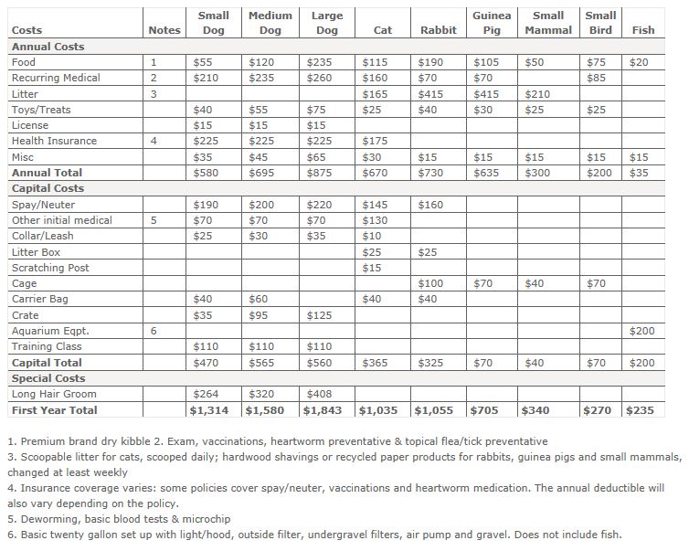 Pet~Pourri: Your First Pet