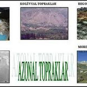 Şubat 2013 ~ Bilmiş Dede