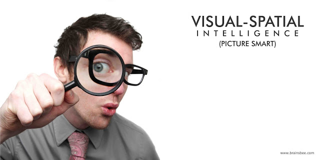 Visual Spatial Intelligence