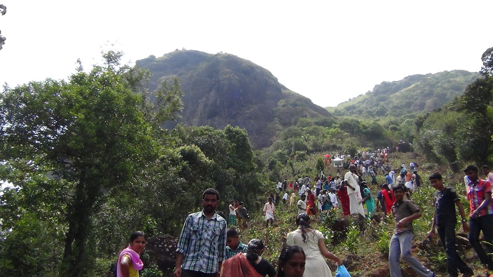 NATURE LOVE: ELAPPARA KURISHUMALA