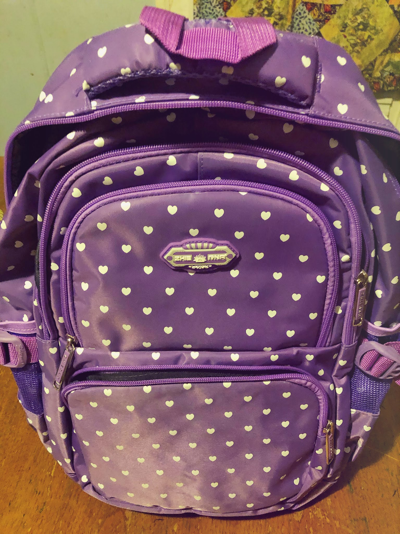 Enchanted Excurse: Review on Adorable Laptop School Backpack!