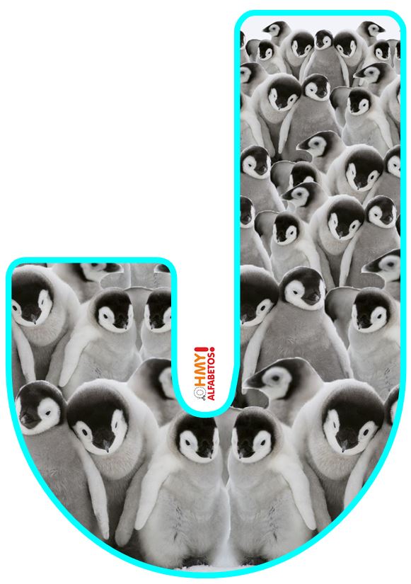 Abecedario con Pingüinos Bebé. Baby Penguins Abc. - Oh my Alfabetos!