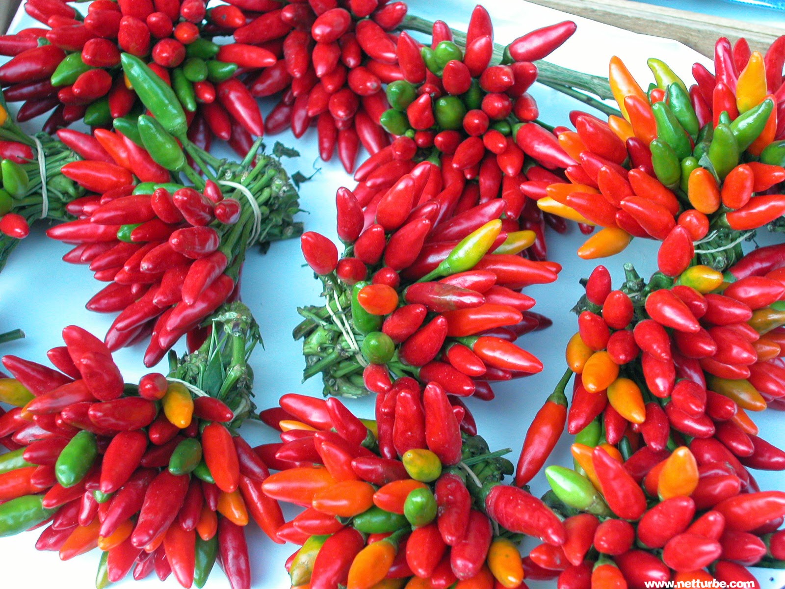 Vivere nella Terra di Mezzo: Il Peperoncino Sul Balcone