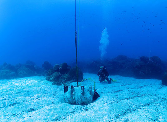 MEGACHIROTTERA: DARPA: Operazione Deep Sleep: o, robot dormienti sul ...