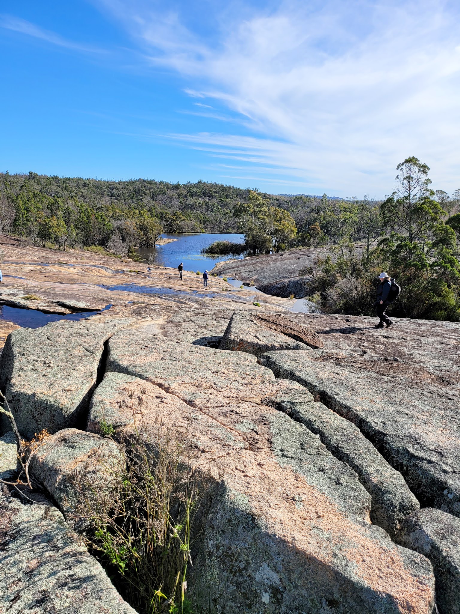 Fassifern Field Naturalists: Outing Report - Autumn Camp: Foxbar Falls ...