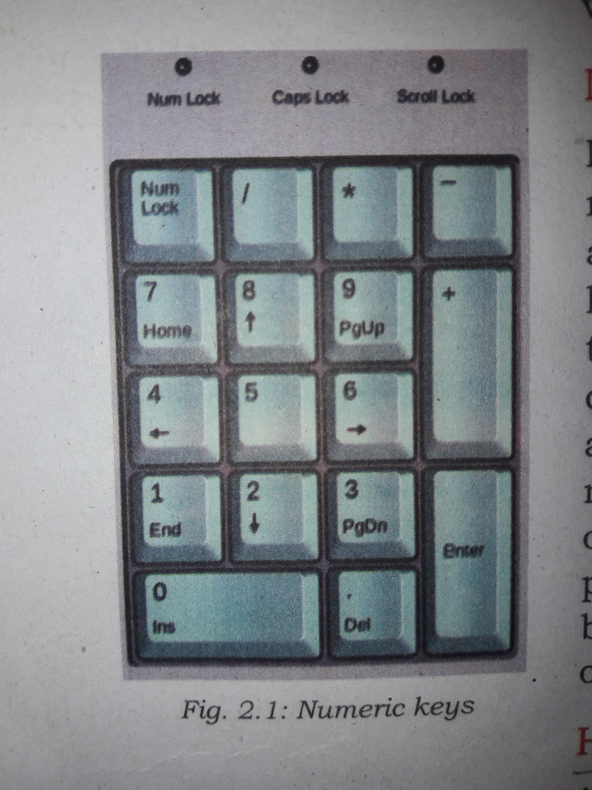 Explain the Numeric Keypad, Home Keys, Guide Keys