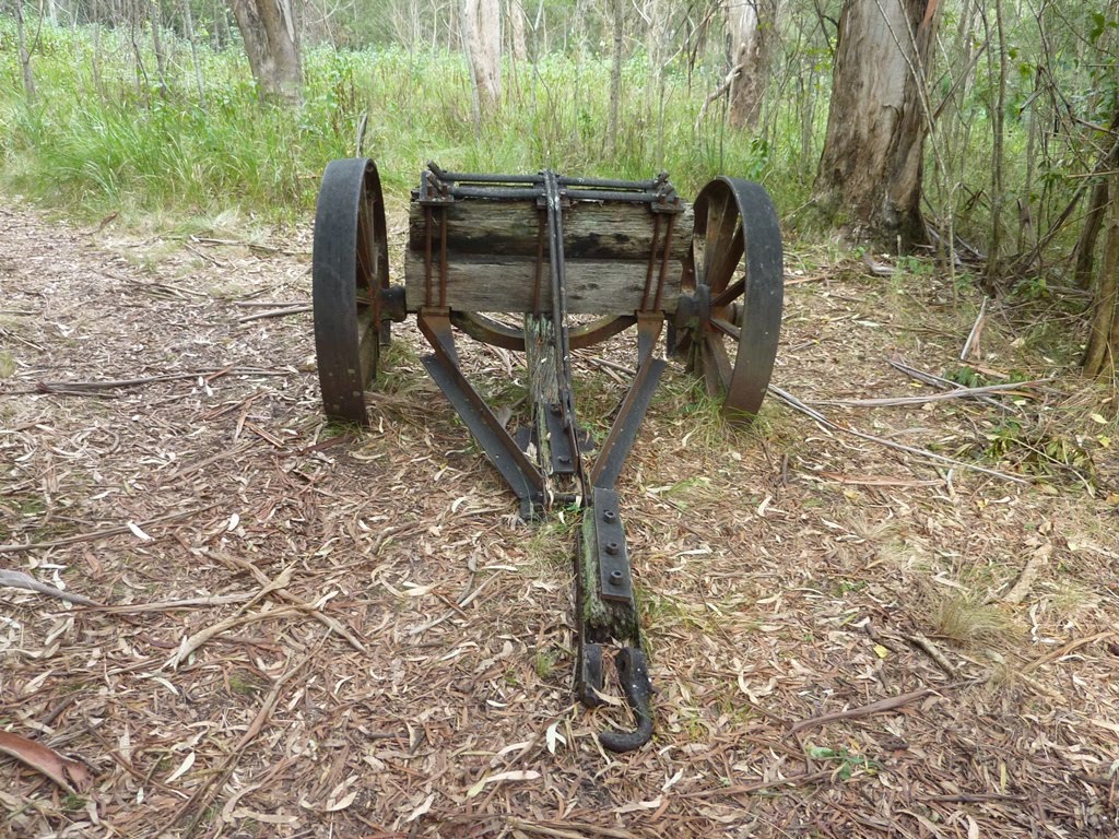 National Park Odyssey: Spicers Gap Camping Area, Main Range National ...