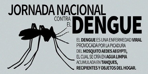 Que Es El Dengue: Síntomas, Causas, Tratamiento y Prevención