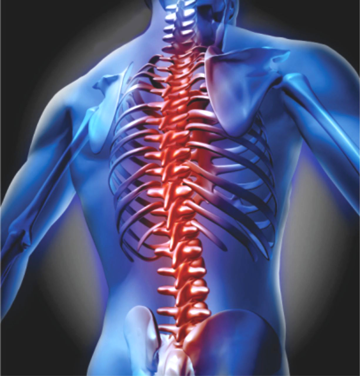 Back Pain Blog | Spine Care Blog | Qi Back & Spine Clinic Blog: Why 85% ...